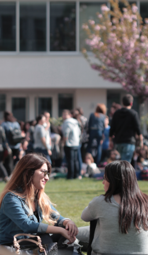 TEDU Renewed Core Curriculum | TED Üniversitesi